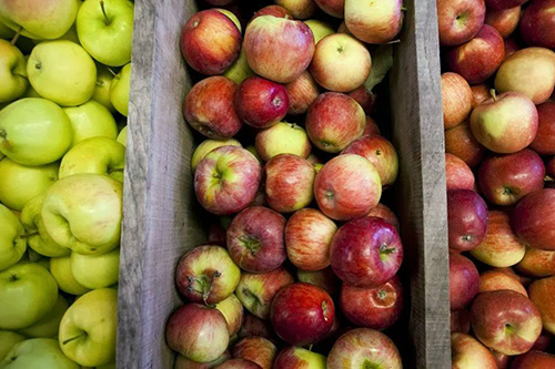 5 Ways to Celebrate National Apple Month