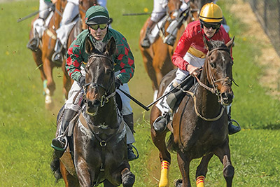 About the National Steeplechase Association