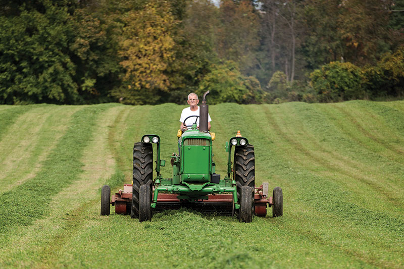 Yeager’s Farm and Market Reigns as a Christmas Tree Institution