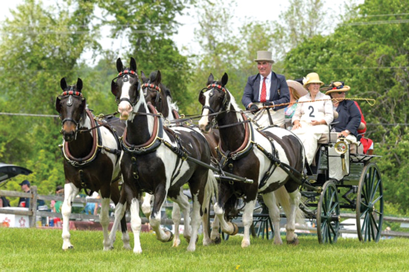 Scenes from the Radnor Hunt Races