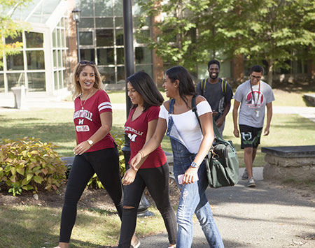 Manhattanville College