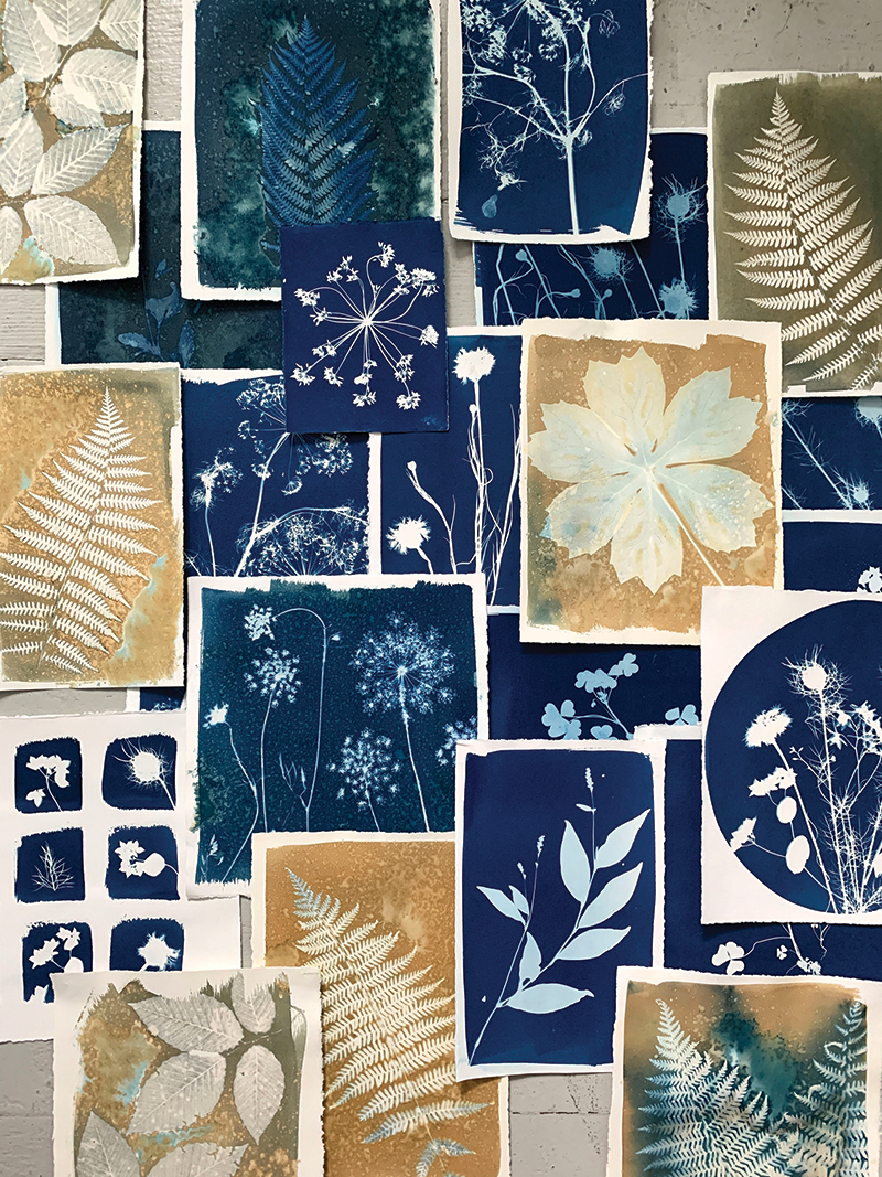 A West Chester Artist Transforms Botanicals into Art for the Home