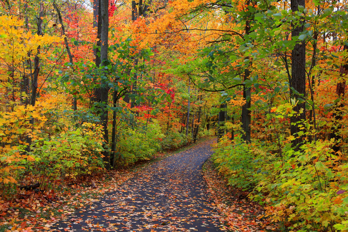 10 Trails to Hike this Autumn