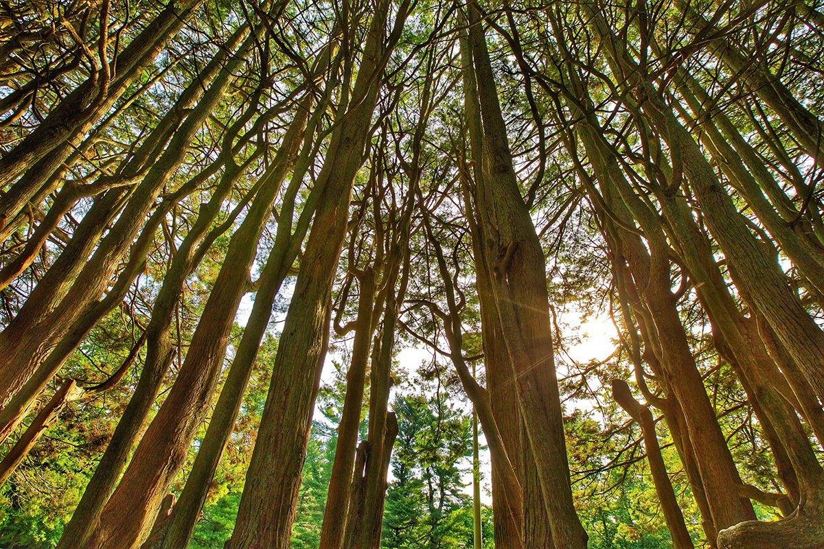 Ridley Creek State Park Celebrates Its 50th Anniversary